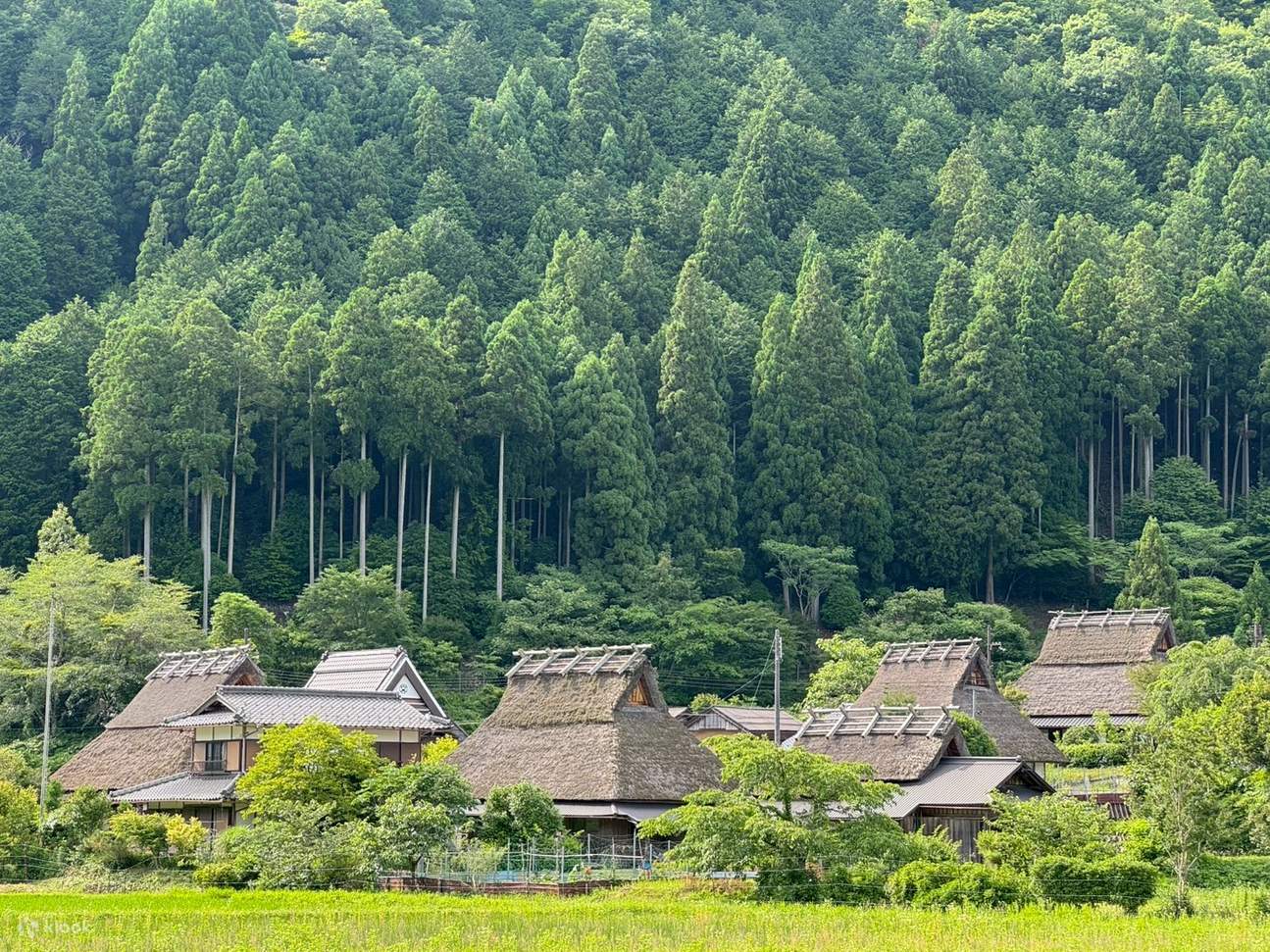 Kyoto Amanohashidate Day Trip: Amanohashidate Kasamatsu Park + Motoise ...